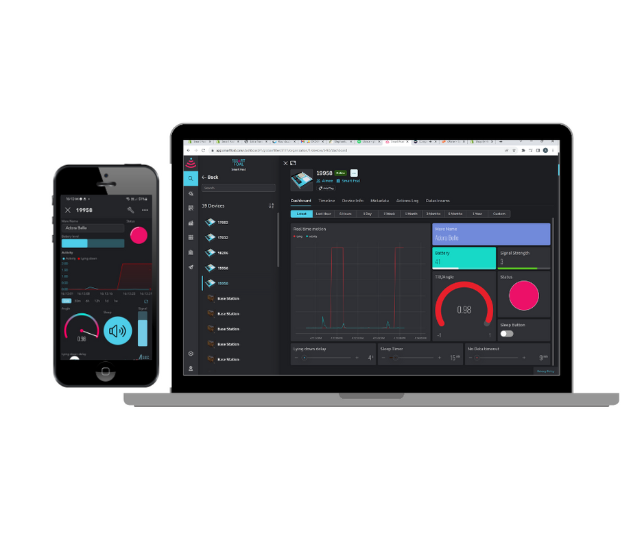 Products | Smart Foal