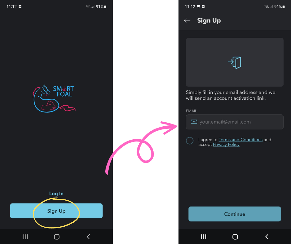 Setting up | Smart Foal