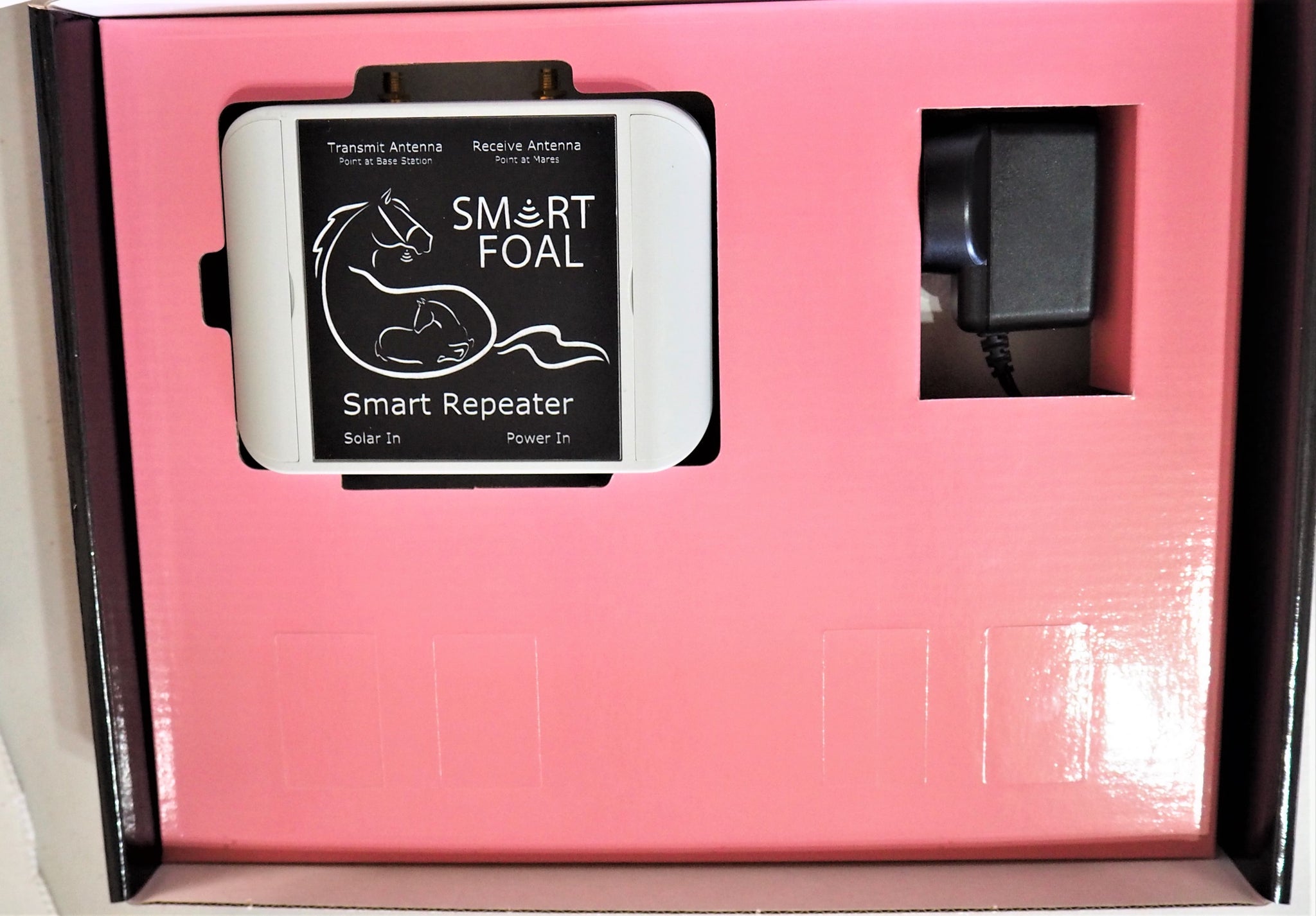Professional Pack Small | Smart Foal